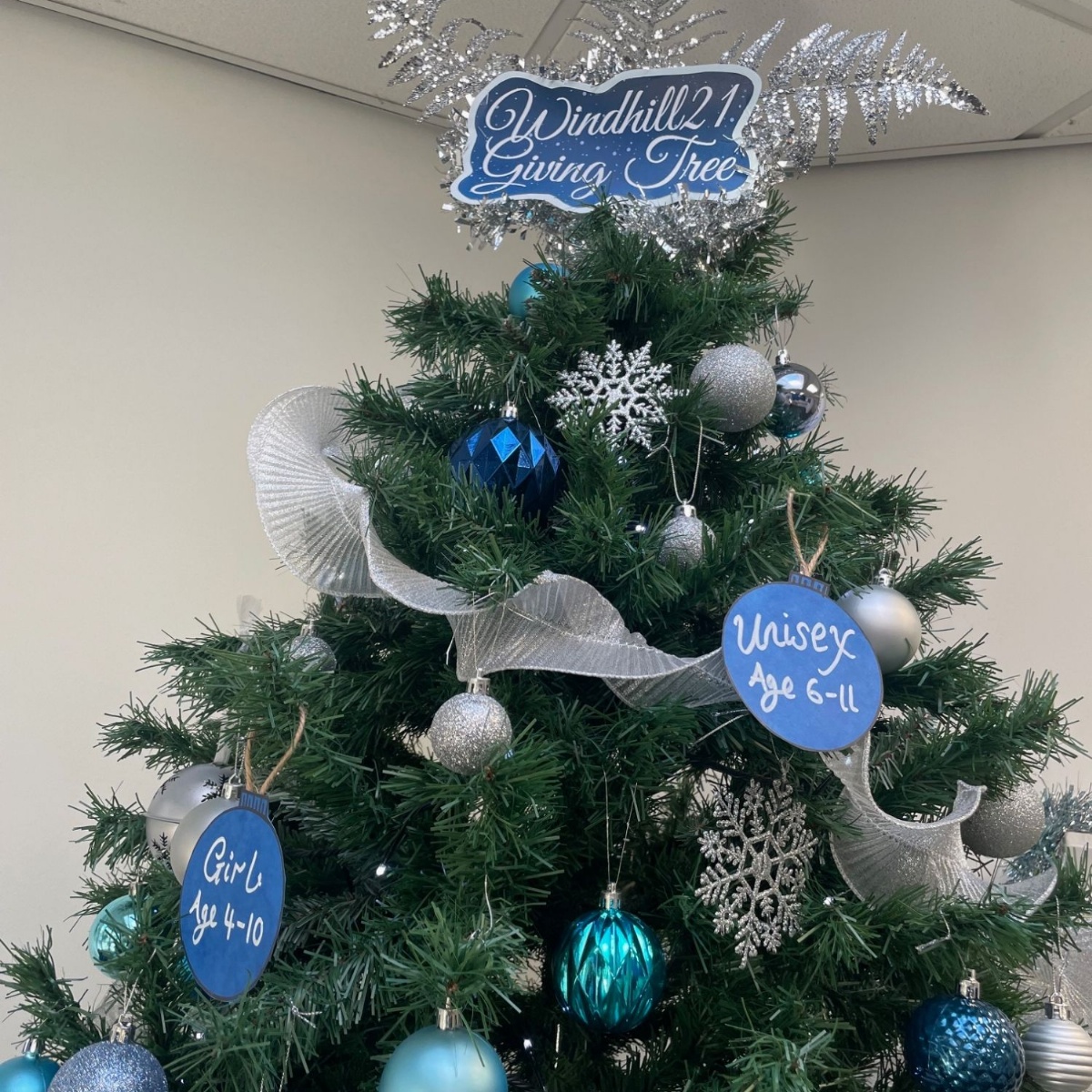 Windhill21 - Windhill21 Giving Tree